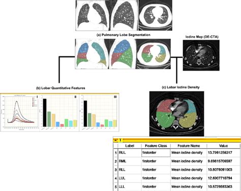 Schematic Representation Of Image Postprocessing Steps Following Ct Download Scientific
