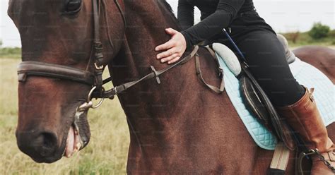 젊은 아름 다운 여자의 근접 촬영 사진은 말을 타고 있습니다 사진 Unsplash의 우크라이나 이미지