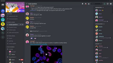how to delete all discord messages privacy defend