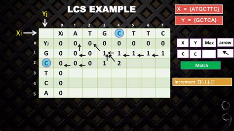 longest common subsequence lcs pptx