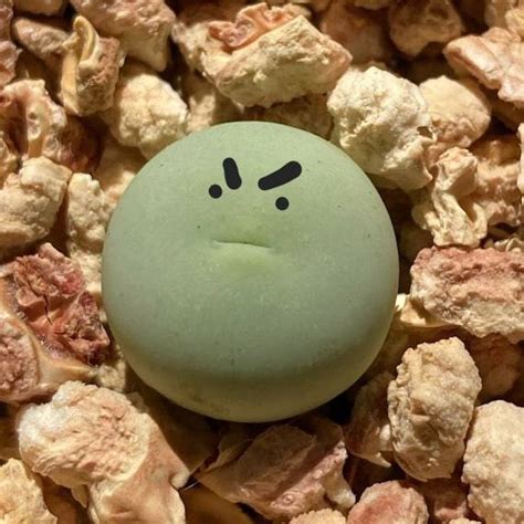 개인적으로 제일 웃기게 생긴 식물 어머 공지라니 미쳤나바💋😗 추가글 인스티즈 Instiz 이슈 카테고리