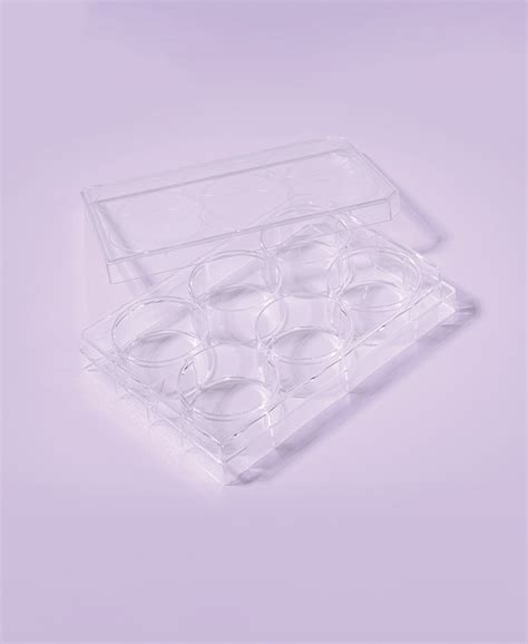 细胞培养类 碳基生物官网