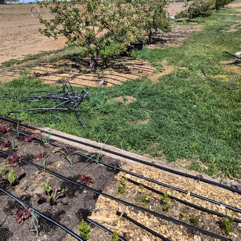 The Mauldin House Added A New Photo The Mauldin House