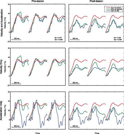 Figure 1 From The Cerebellar Nodulusuvula Integrates Otolith Signals