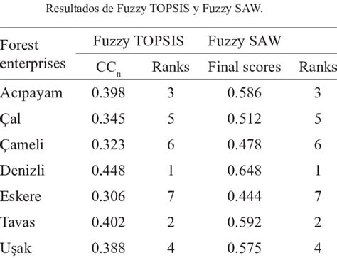 Results Of Fuzzy Topsis And Fuzzy Saw Download Scientific Diagram