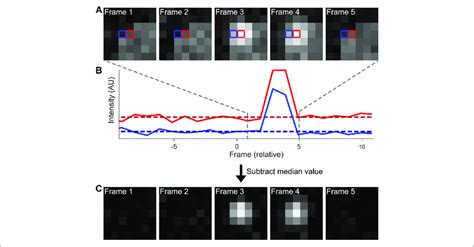Computational Workflow Of A Temporal Median Filter Fluorescence
