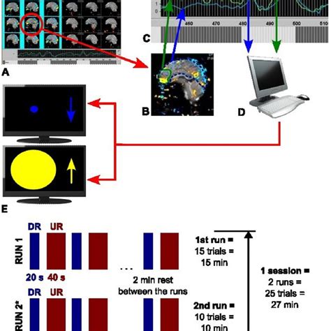 Schematic For Dataflow And Experimental Design A Screenshot From Download Scientific Diagram