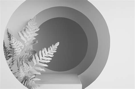 직사각형 스탠드 고사리 잎 둥근 아치 원근 빛 그림자 프리젠 테이션 디스플레이 제품 클로즈업을위한 현대 미래 추상적 인 정원