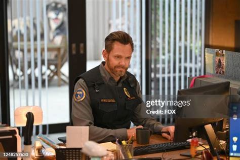 57 Joel Rabbit Photos And High Res Pictures Getty Images