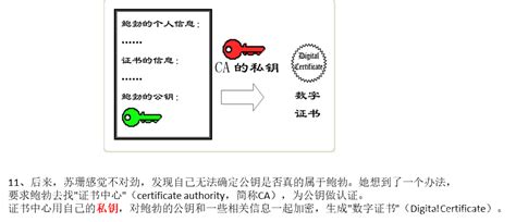 加密解密、加签验签、数字证书流程分析 Csdn博客 加密解密、加签验签、数字证书流程分析 Csdn博客