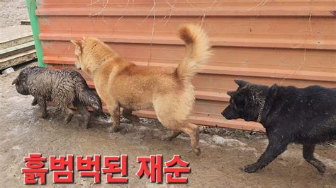 엄마와 딸의 만남흑선과 재순 Youtube