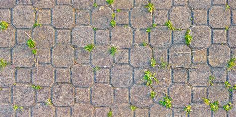 Grass Pavement Texture 999 Pavement Texture Pictures Download Free