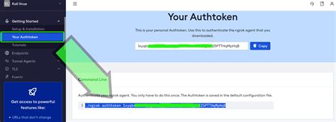 Как установить Ngrok на Kali Linux