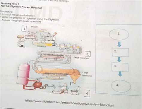 Learning Task 1 Part 1a Digestive Process Flowchart Patulong Po