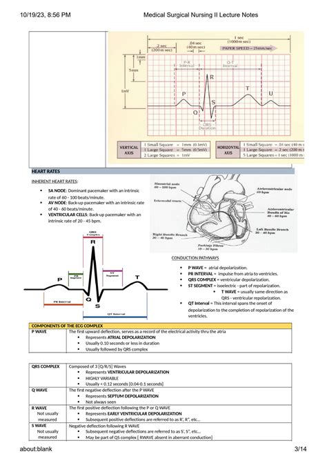 SOLUTION Medical Surgical Nursing Ii Lecture Notes Studypool