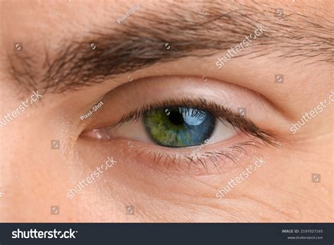 Genetic Inheritance Eye Colour