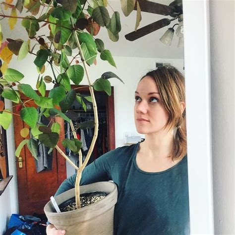 Stevi Waggoner On Instagram I Got A Tree Today” Tree Instagram