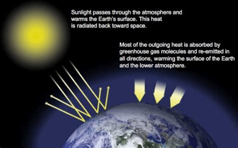 Global Warming Fun Facts Global Warming Fun Facts