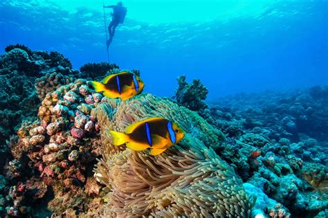 11 Incredibly Fun Things To Do In Siargao Skyscanner Philippines