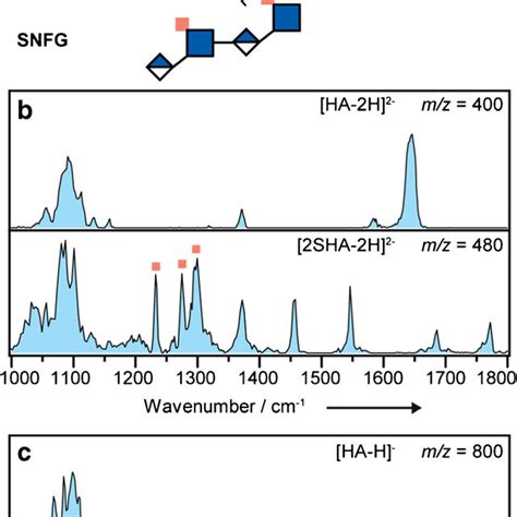 A Chemical Structure And Snfg Representation Of The Investigated Download Scientific Diagram