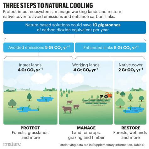 Overview Of The Global Nitrogen Cycle Download Scientific Diagram