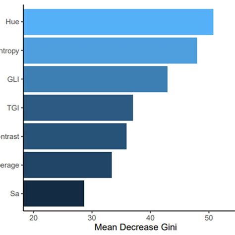 Feature Importance Represented As The Mean Decrease Gini Coefficient