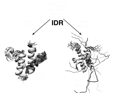 Laurent Michel Vuillard On Linkedin Idp Idr Proteinstructure
