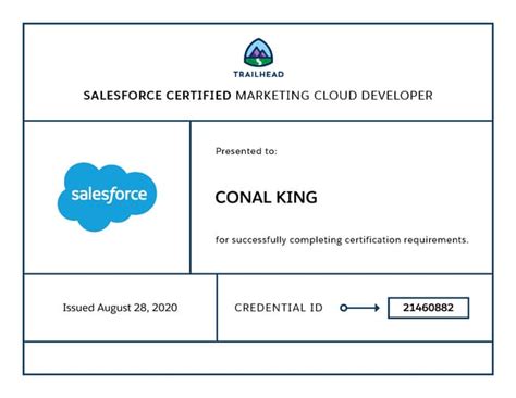 Salesforce Certified Marketing Cloud Developer Pdf