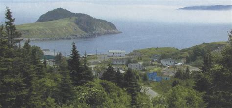 The Irish Loop Irish America