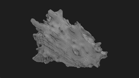 3d Angaria Delphinus 2 Turbosquid 2214399