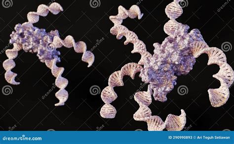 Dna Or Nucleic Acid And Protein Conjugate As A Building Blocks For Programmable Nanoassemblies