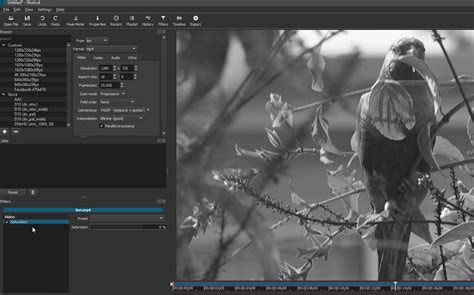 Grayscale Filter Help How To Shotcut Forum