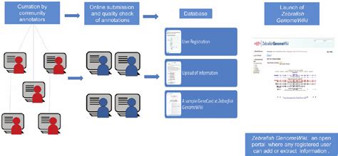 A Schematic Representation Of The Annotation Protocol The Annotators Download Scientific
