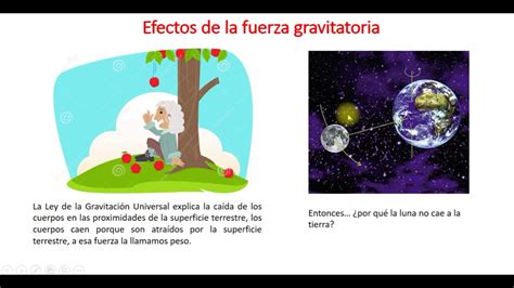 Ejemplos De Fuerza Gravitatoria Cuela