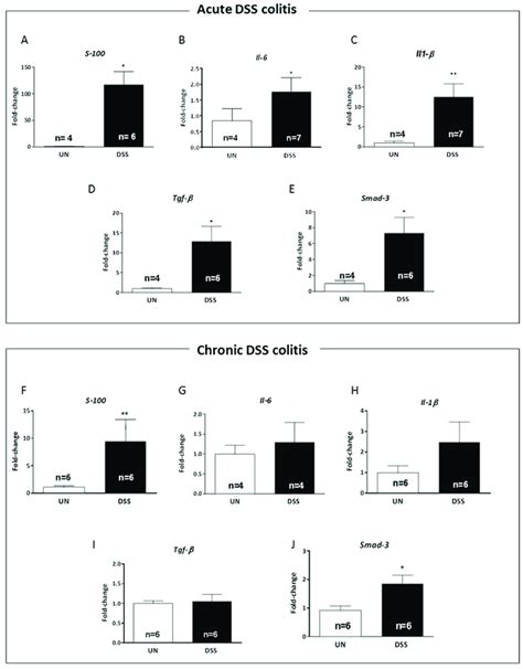 Cytokines Expression Profiles In The Hippocampus Following Acute Or Download Scientific Diagram