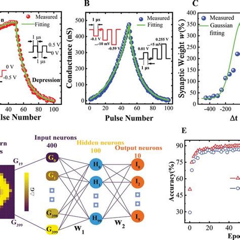 Long‐term Heterosynaptic Plasticity And Ann Pattern Recognition