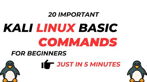 Kali Linux Basic Commands How To Use Terminal Of Kali Linux Basic