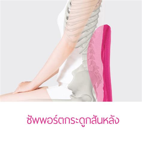 เบาะรองนั่ง Matsunaga Pinto Bea Br