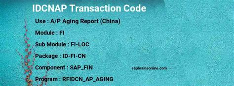 Idcnap Sap Tcode For Ap Aging Report China