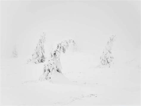 200 Snow Aesthetic Pictures