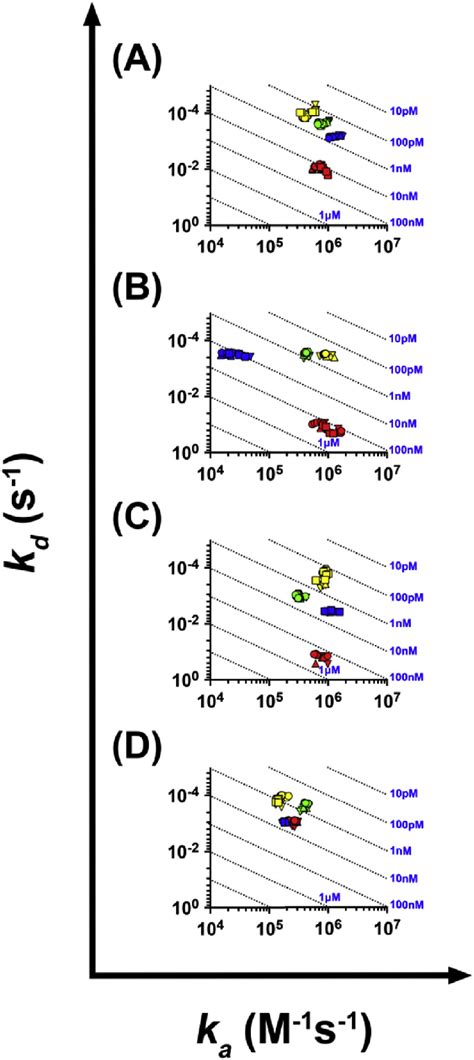 Affinity Isotherm Plot Showing Results Of Individual Experiments
