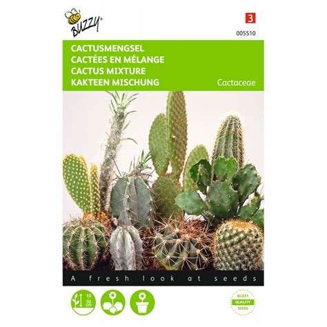 Cacti Mix Cactus Seeds Seeds • Tuinzadeneu