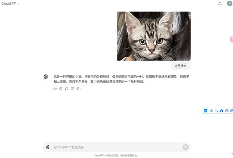 普通的gpt4o也能识别图片了 官网的 资源荟萃 Linux Do