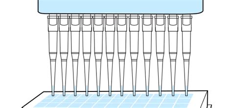 Beginner S Guide How To Use A Pipette Correctly GenFollower