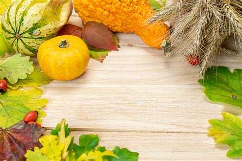 단풍 배경 밀 곡물 귀 오렌지 호박 가을 말린 잎 붉은 열매와 도토리 나무 배경에 밤과 자연 수확 창조적 인 가을 구성 10월에 대한 스톡 사진 및 기타 이미지 Istock