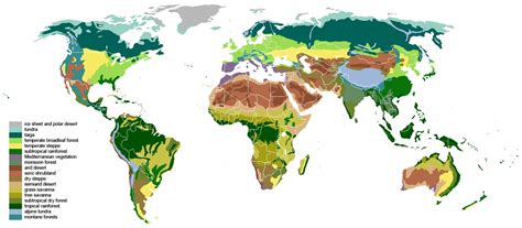 The Worlds Terrestrial Biomes Vivid Maps