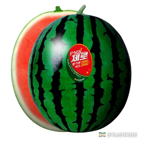농우바이오 Pmr제로 수박씨앗 추천