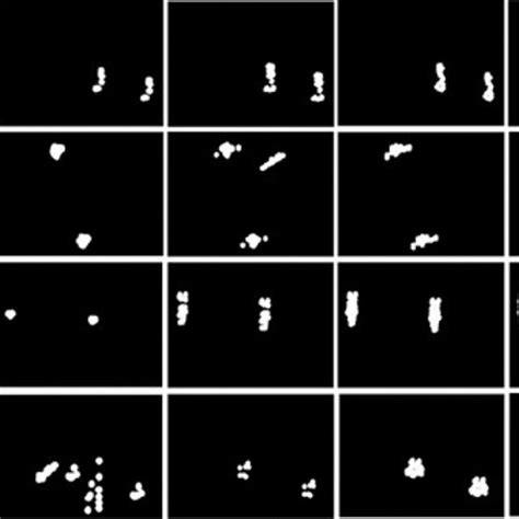 localization results of some images from micc f220 via proposed s sift