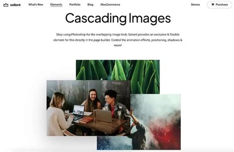 Salient Theme Review 2023 Top Features Pricing Pros And Cons Nitdit