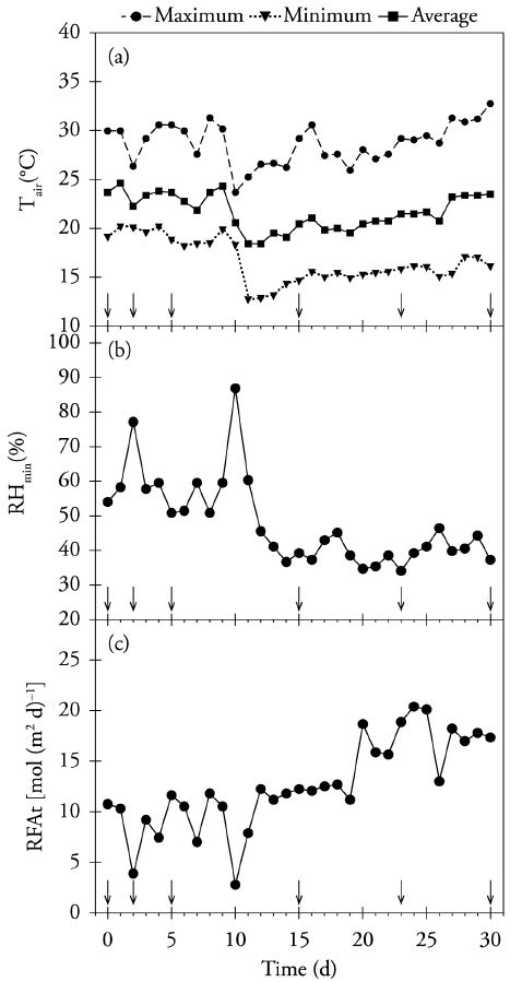 Minimum Average And Minimum Air Temperature T Air Minimum Relative